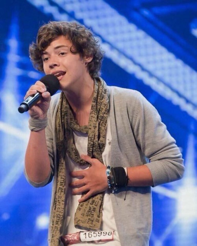 Long Haired Harry Styles - Hair Evolution History Top Beauty Magazines