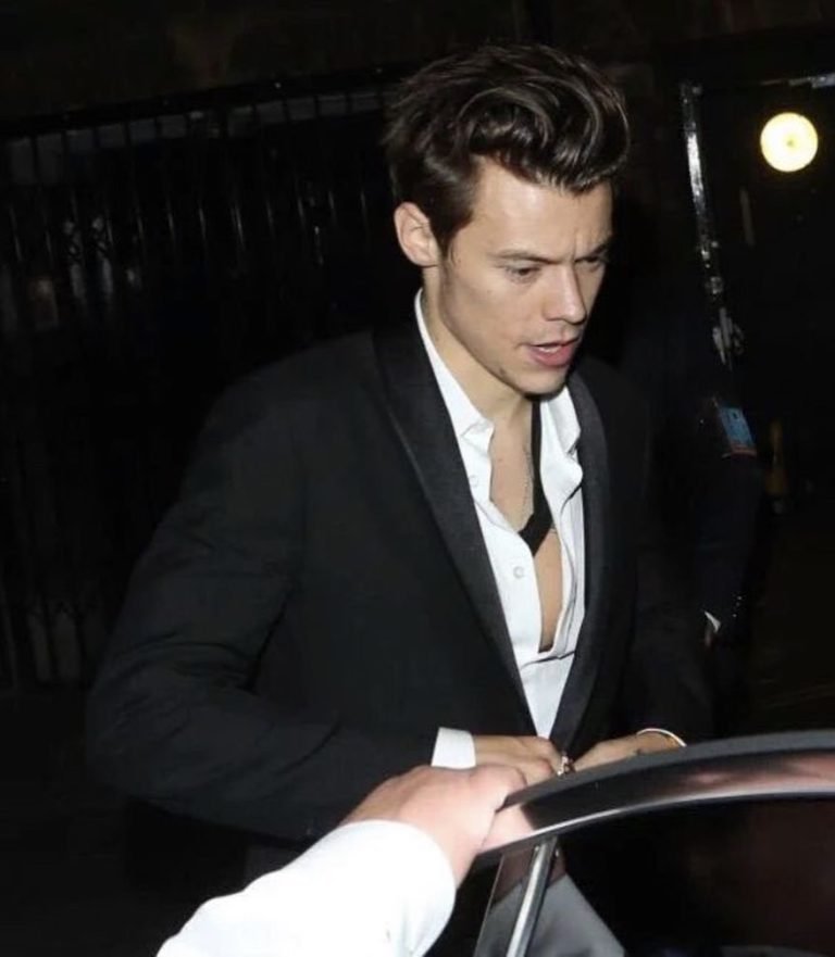 Long Haired Harry Styles - Hair Evolution History Top Beauty Magazines