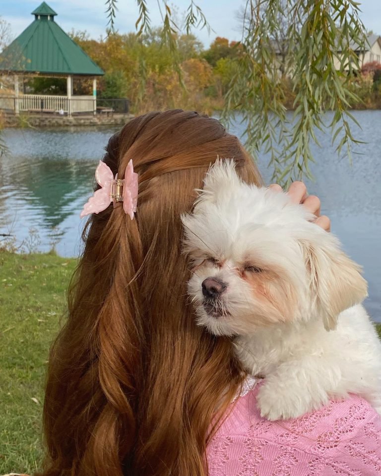 32 Fairycore Hairstyles for Ethereal Beauty: Amazing Ideas