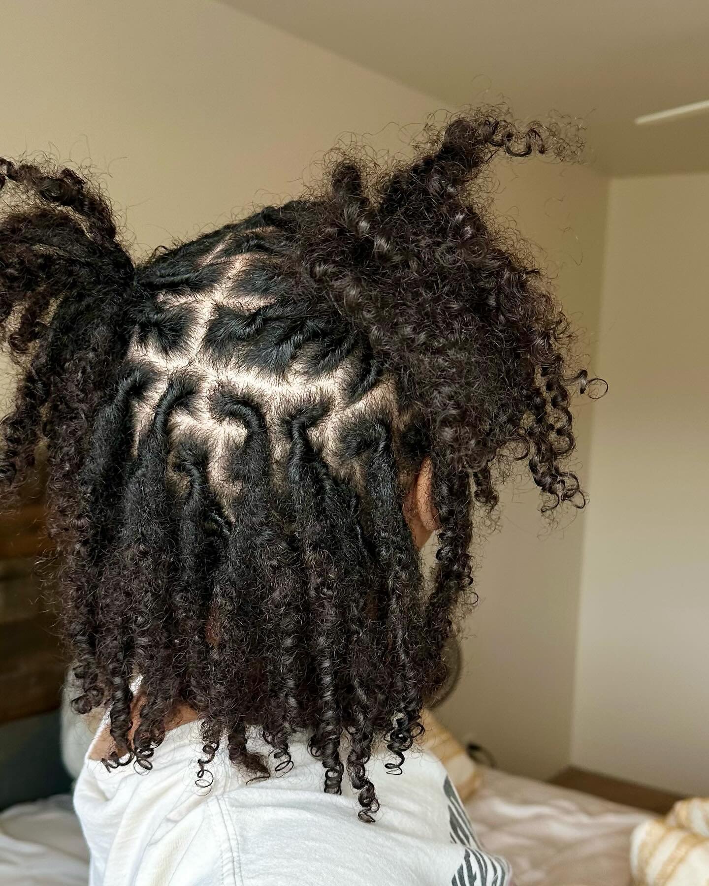 Dreadlocks Hair Care for 2024 : Tips to Accentuate your Locks