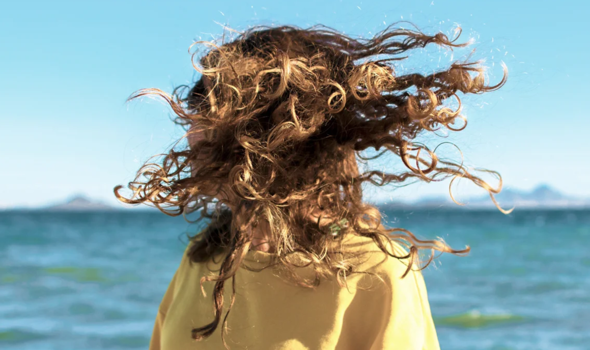 Understanding the Causes of Hair Frizz : Amazing Tips